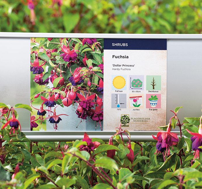 Home Page - Floramedia.co.uk