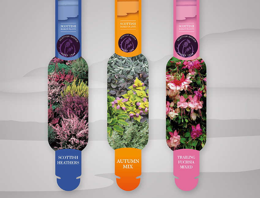 Packaging - Floramedia.co.uk