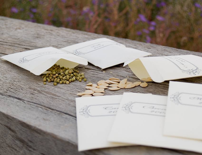 Home Page - Floramedia.co.uk