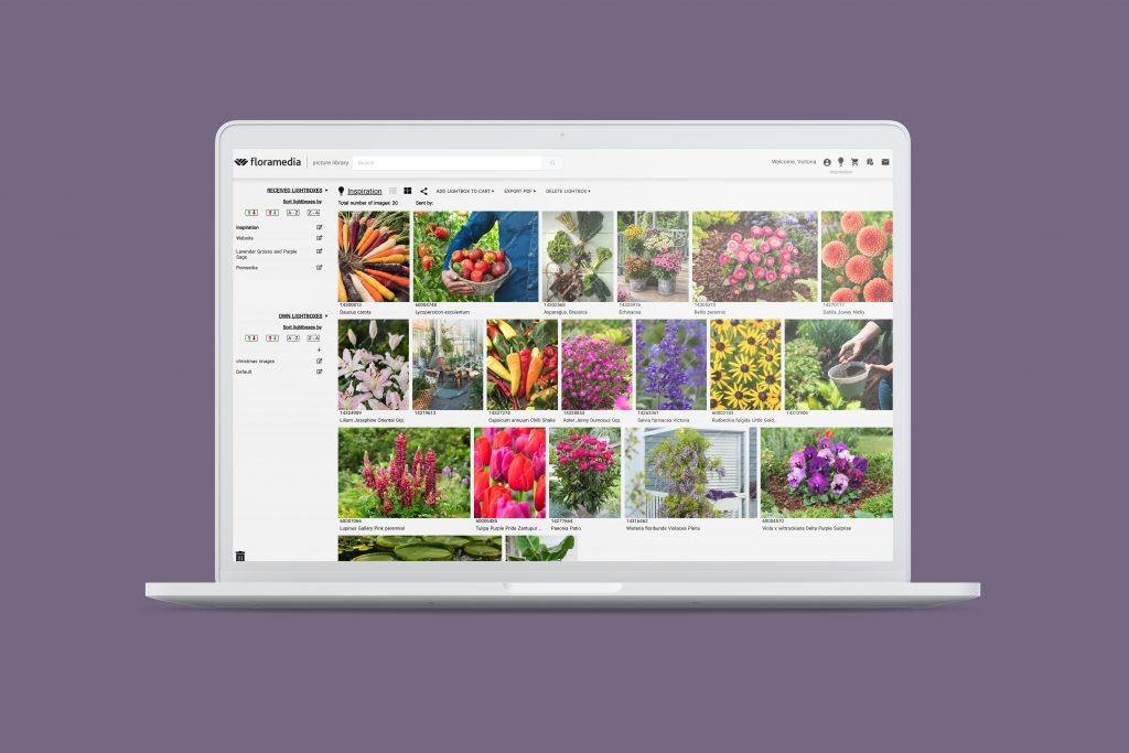 Picture library - Floramedia.co.uk