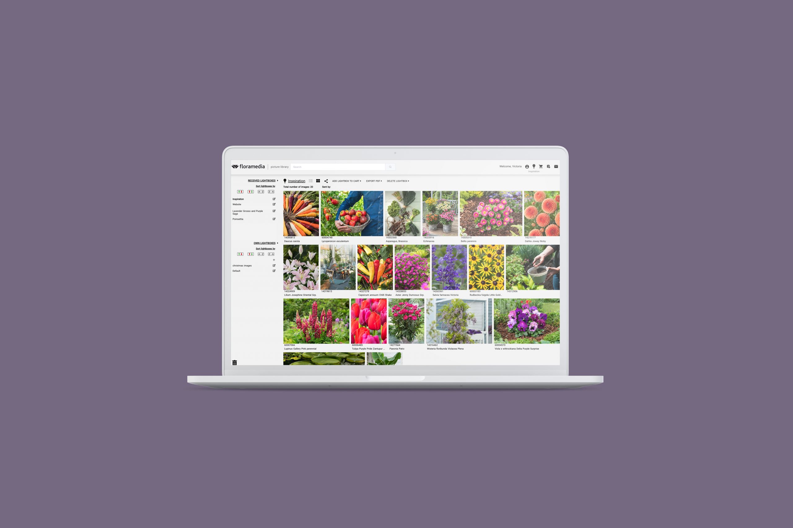 Labels and packaging - Floramedia.co.uk