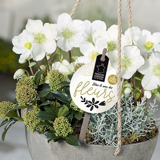 Alternative Materials for Plant Labels - Floramedia.co.uk