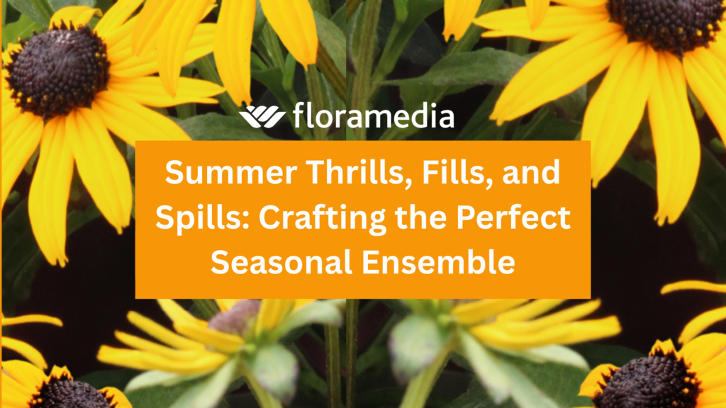 Summer Thrills, Fills, and Spills: Crafting the Perfect Seasonal ...